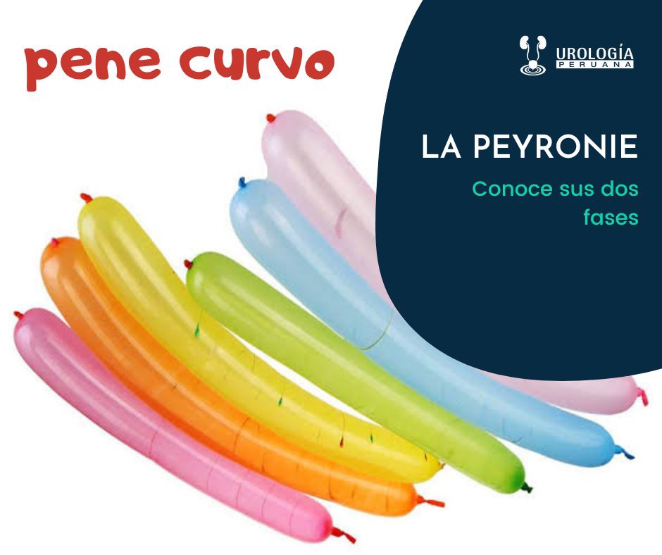 Las dos fases de la enfermedad de La Peyronie – Urología Peruana. Dr ...