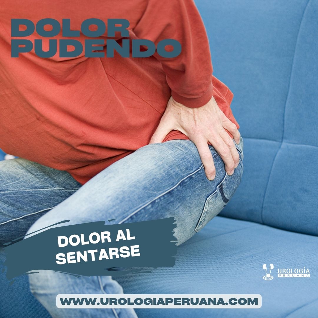 Dolor del nervio pudendo – Urología Peruana. Dr. Susaníbar
