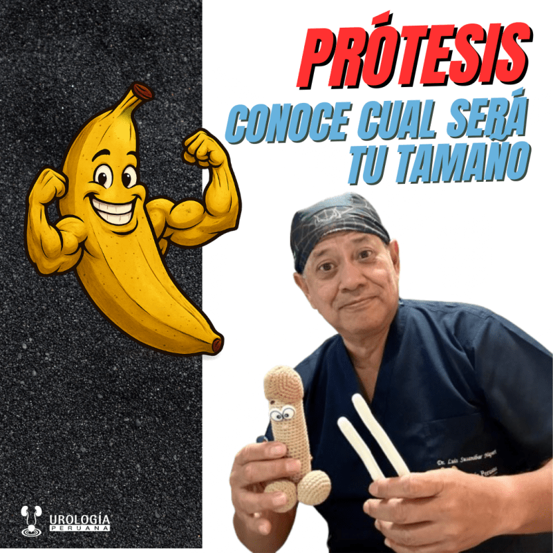 Todo sobre la obstrucción del cuello vesical (PBNO) o la enfermedad de ...